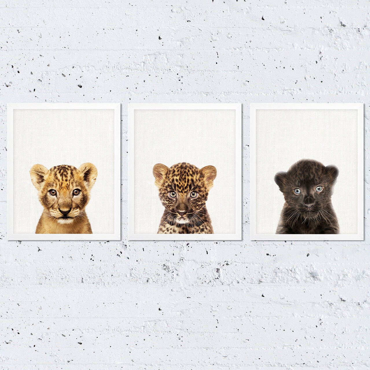 Cheetah Print, Cute Cheetah Cub Photo, Safari African Animals ...