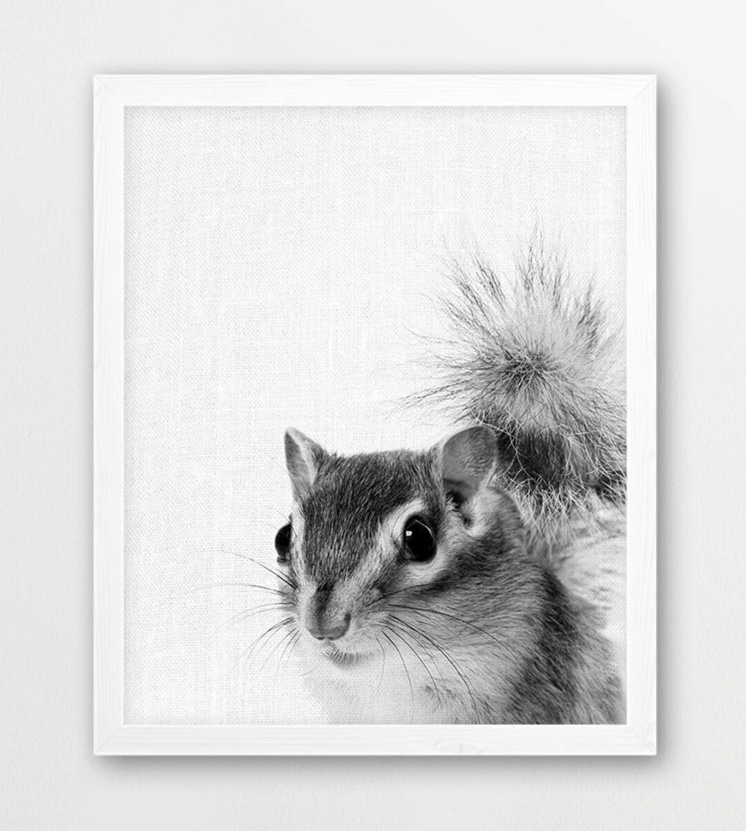 Chipmunk Print, Cute Chipmunk Photo, Woodlands Animals Black White ...