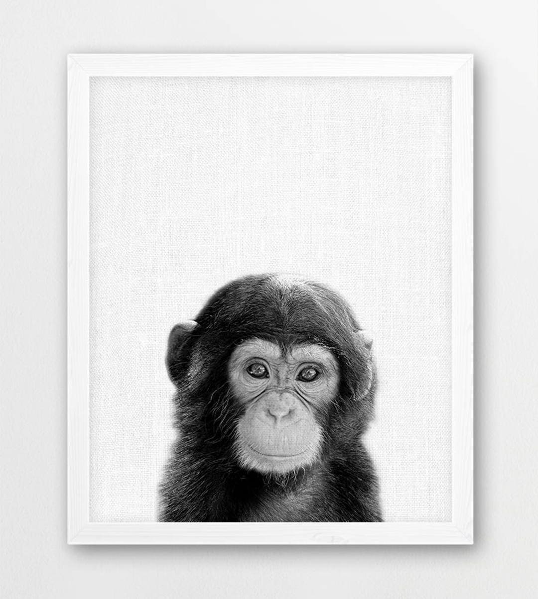Chimpanzee Print, Cute Baby Monkey Print, African Jungle Animals ...
