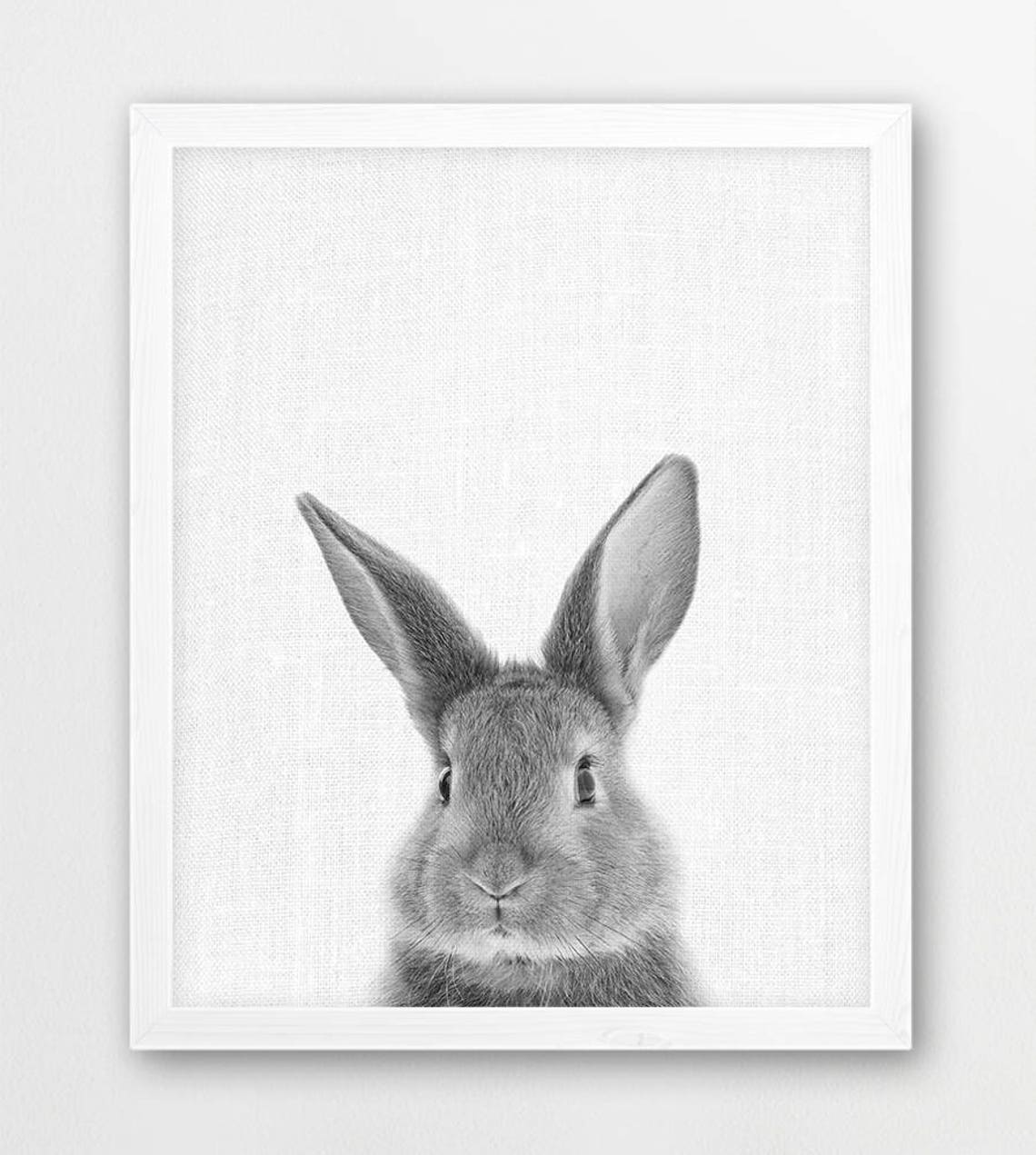 Farm Animals Print, Animals Print Set of 8, Baby Bunny Horse Duck ...