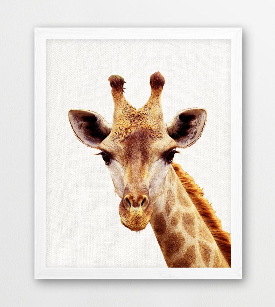 Giraffe Portrait Print, Africa Safari Animal, Nursery Decor (digital ...