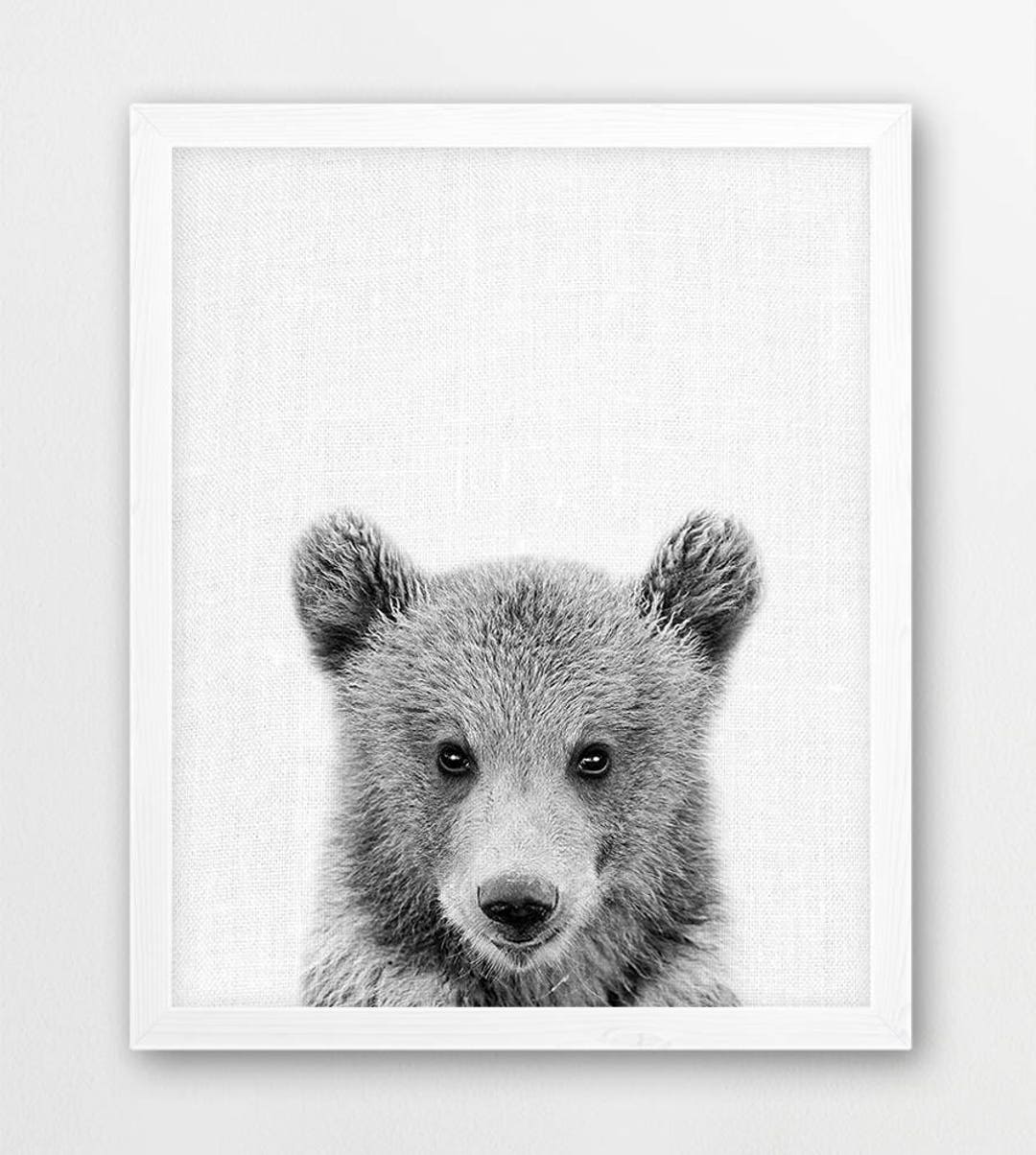 Bear Print, Cute Baby Bear Cub Photo Print, Woodlands Animals Art ...
