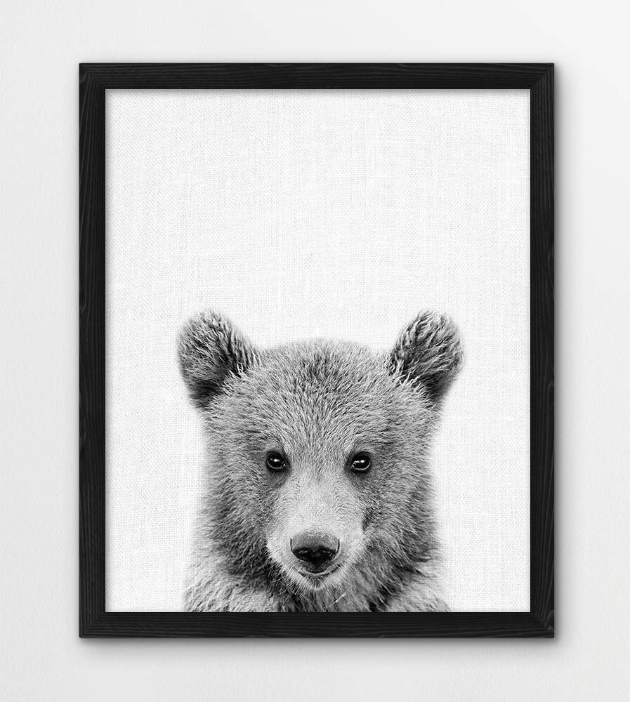 Bear Print Cute Baby Bear Cub Photo Print Woodlands Animals - Etsy