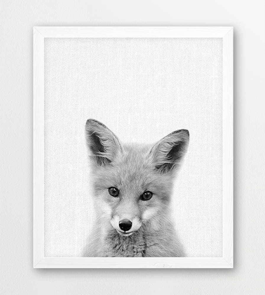 Fox Print, Cute Baby Fox Print, Woodlands Forest Animals Photography ...