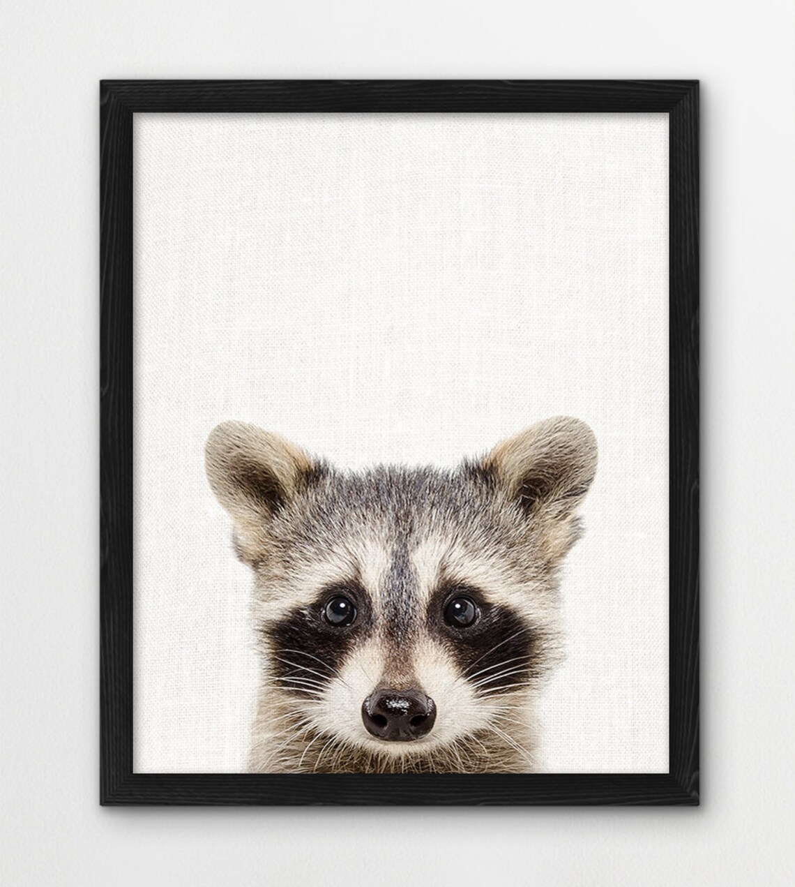Raccoon Print Cute Baby Raccoon Photo Woodlands Animal - Etsy