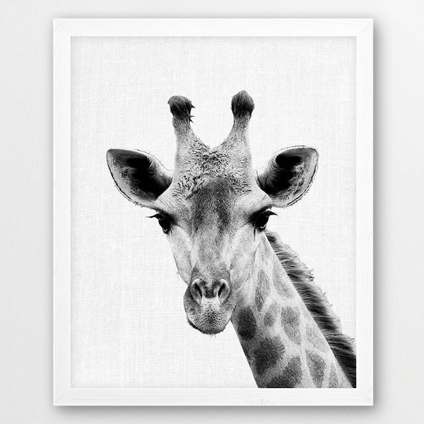 Giraffe Print - Etsy