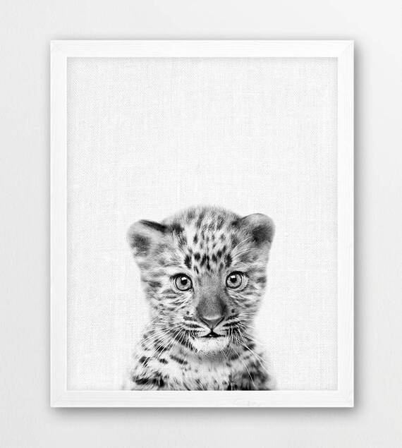 Leopard Room Decor For Baby – Leadersrooms