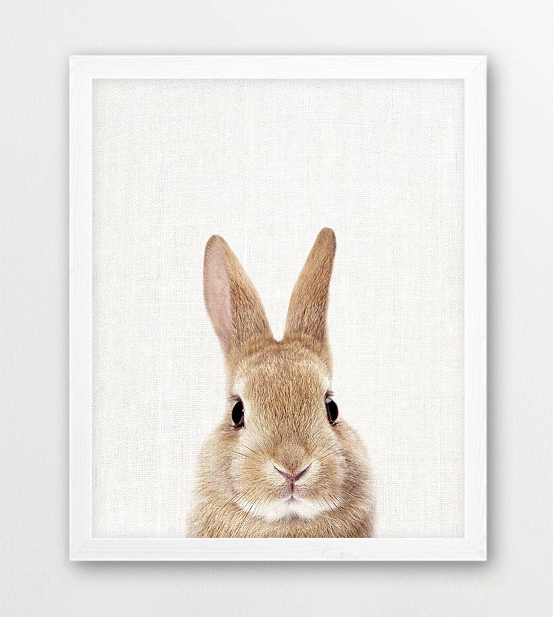 Bunny Print, Rabbit Print, Woodlands Animals Art Photo, Printable ...
