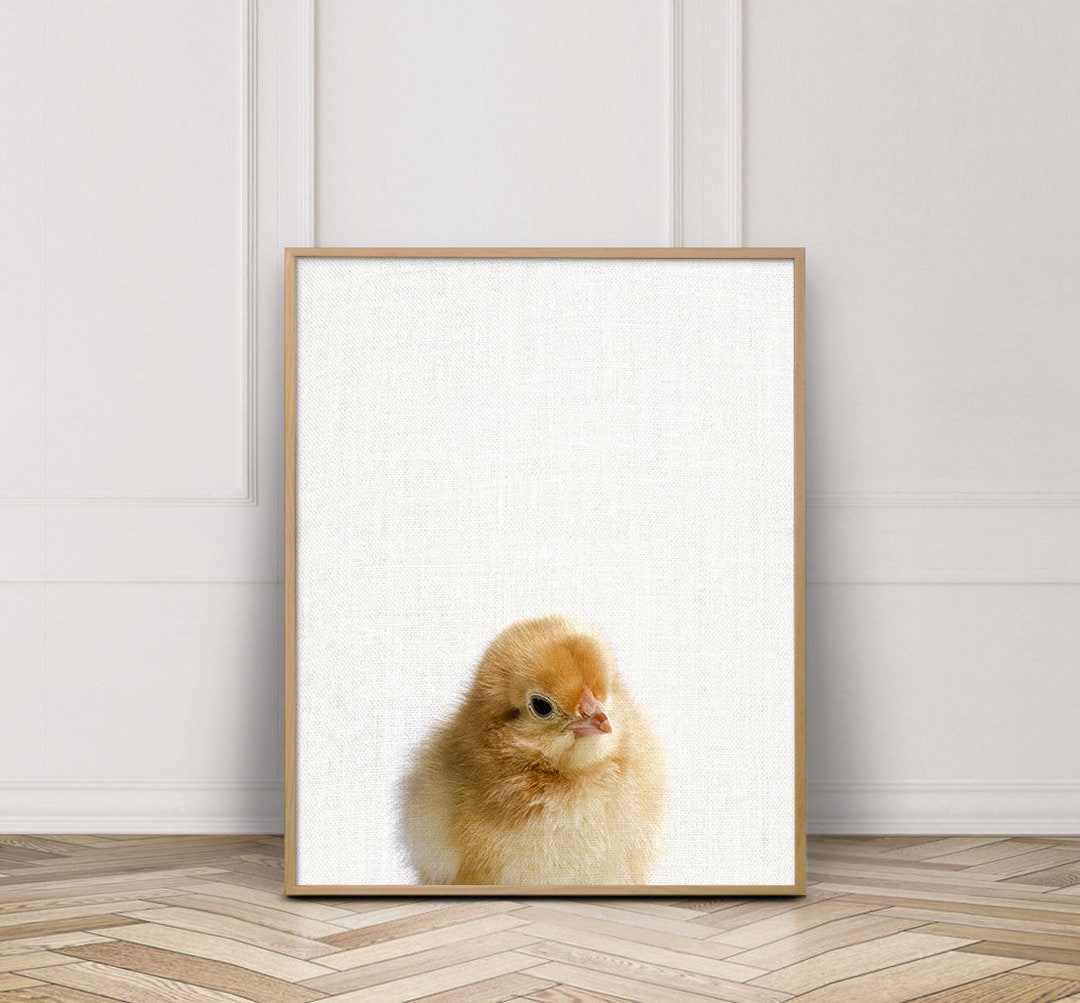 Chick Print, Cute Baby Chick Photo Print, Farm Animals Print, Printable ...