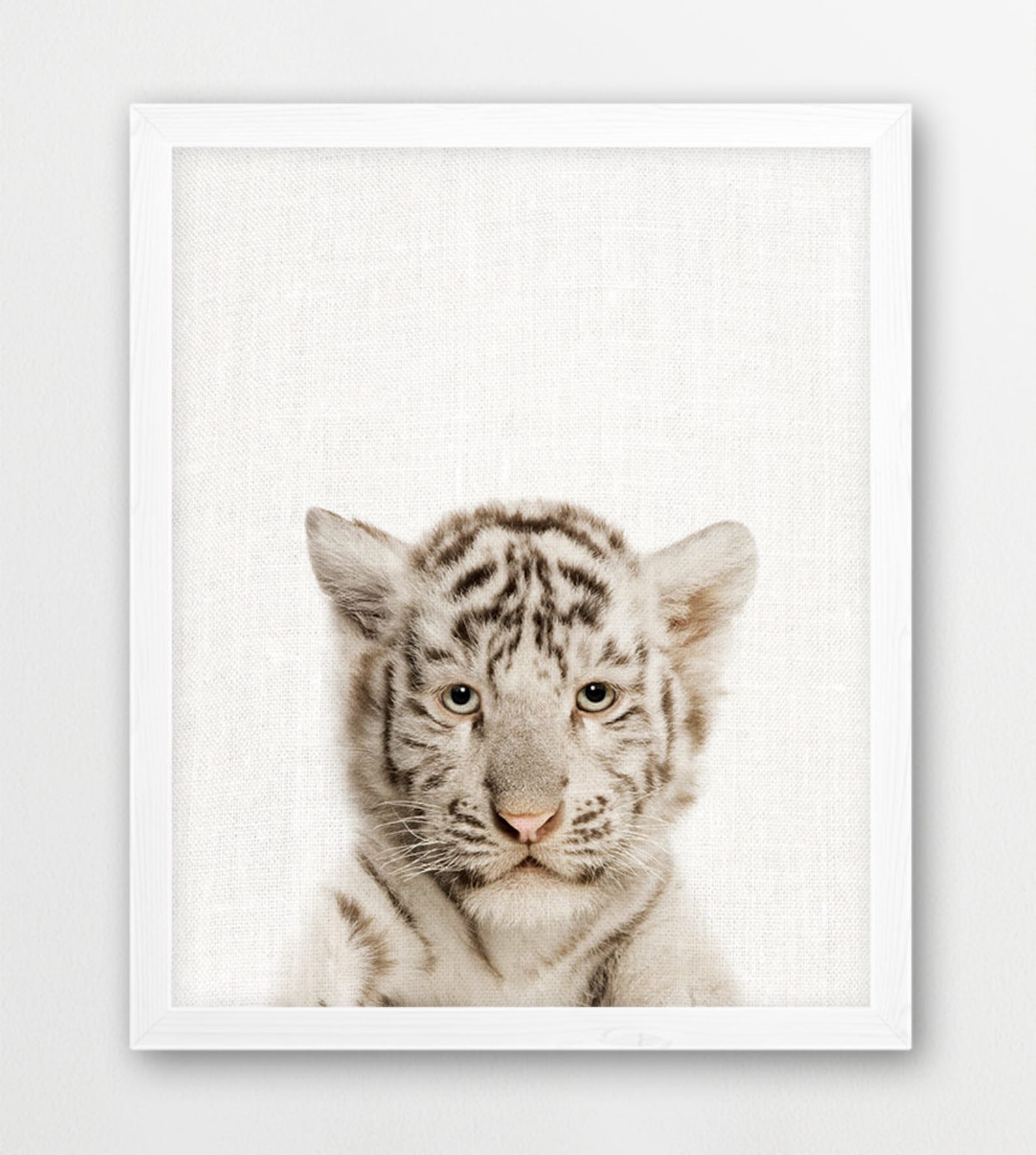 White Tiger Cub Photo Print, Nursery Wall Art (digital Download) - Etsy