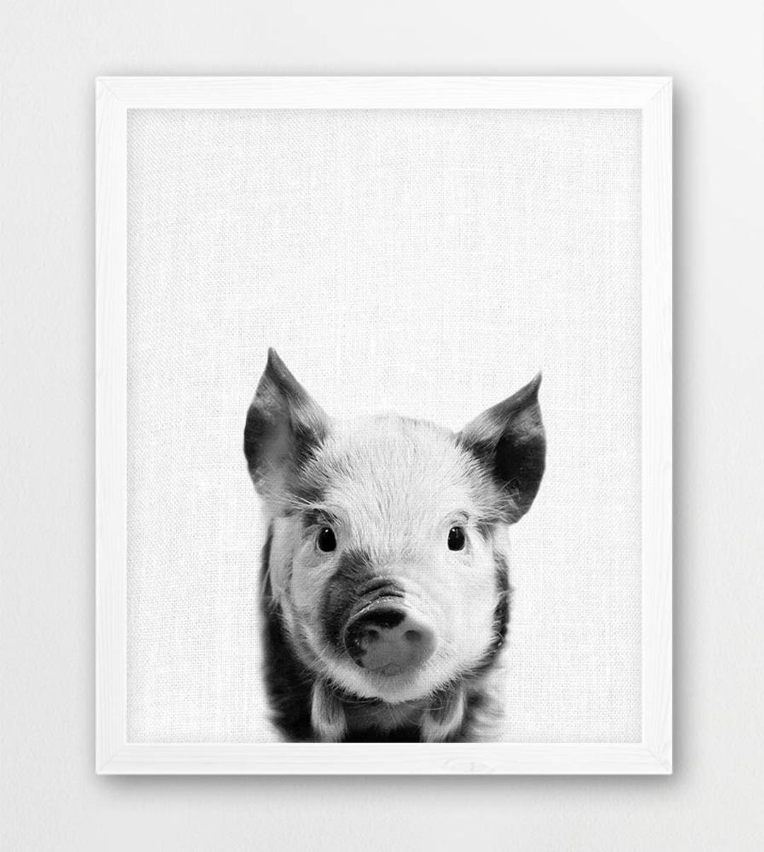 Pig Print, Piglet Photo, Farm Animals Photo, Nursery Baby Animals Wall ...