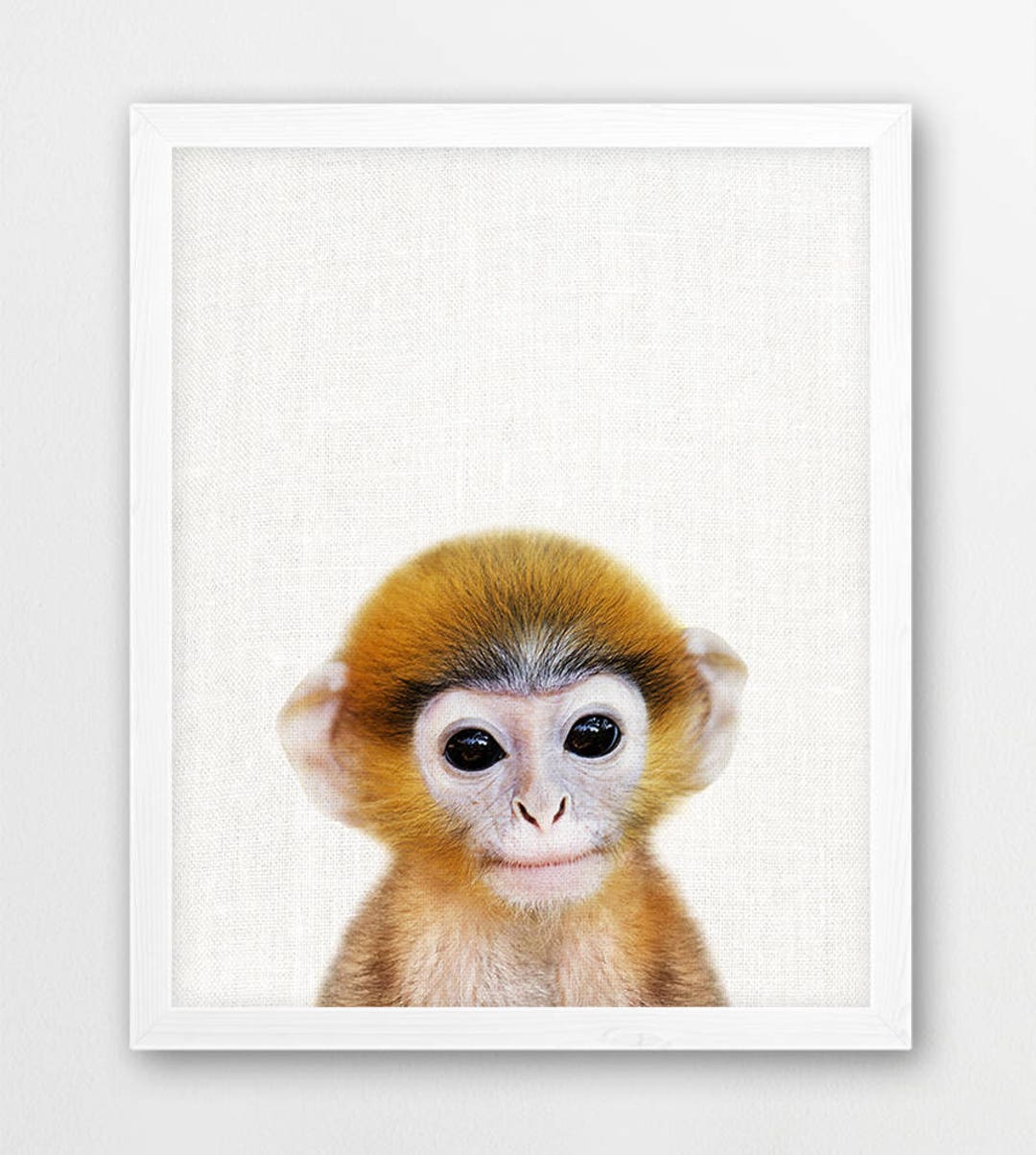 Monkey Print, Cute Baby Monkey Photo, Animals Art Photo, Baby Shower ...