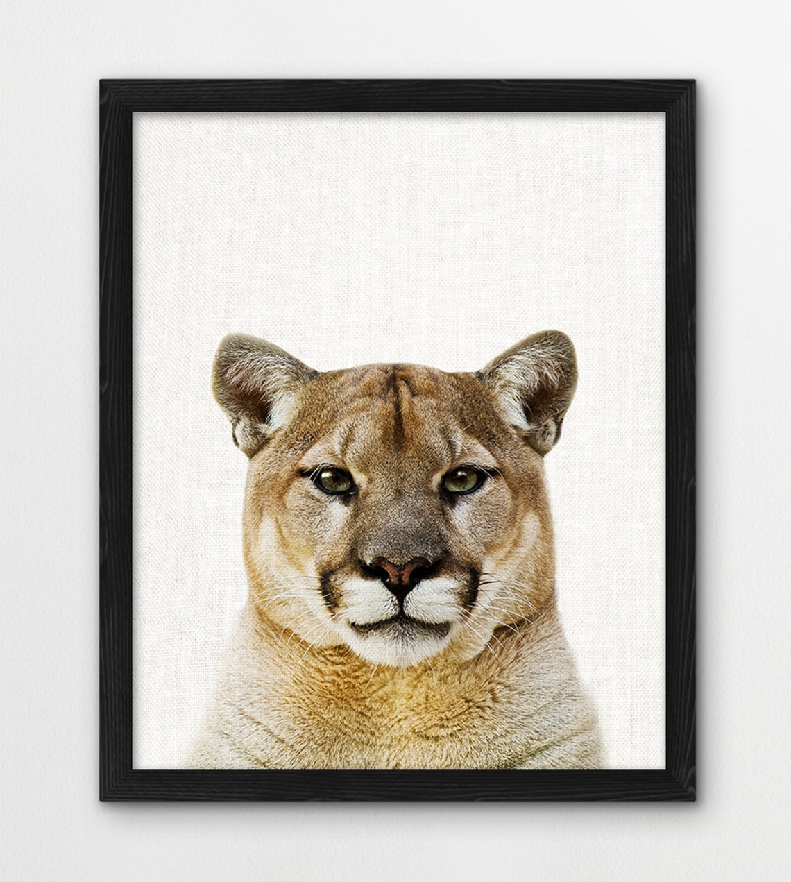 Puma Print Puma Cougar Print Photo Woodlands Forest Animals - Etsy