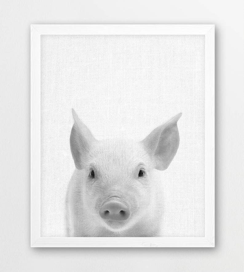 Farm Animals Print, Animals Print Set of 8, Baby Bunny Horse Duck ...