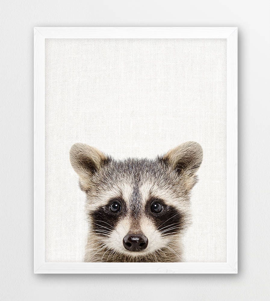 Animals Print, Baby Animals Print Set of 6, Bunny Fox Lion Hedgehog ...