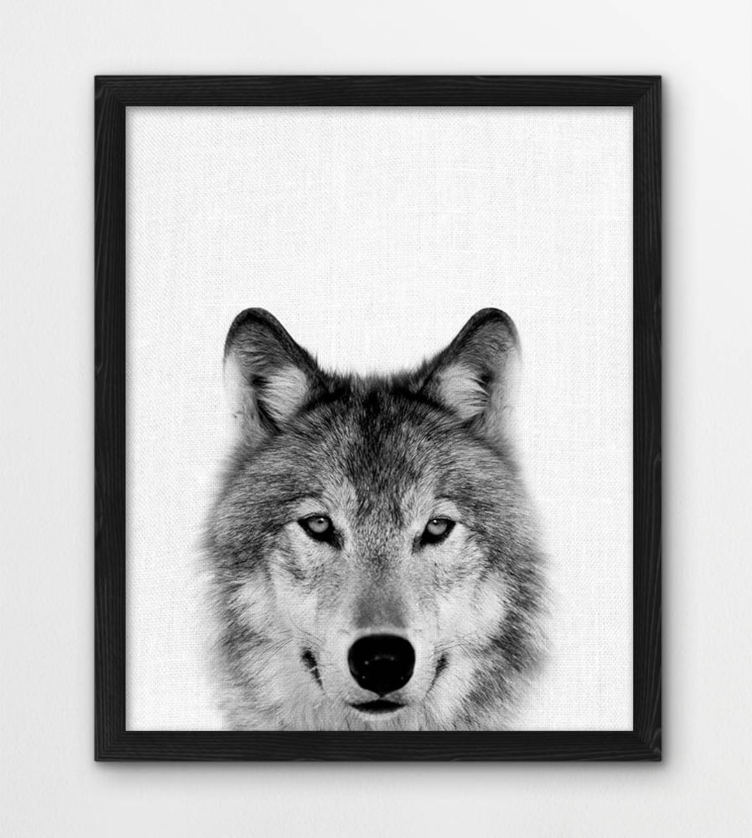 Wolf Print, Grey Wolf Photo Print, Woodlands Forest Wild Animals Art ...