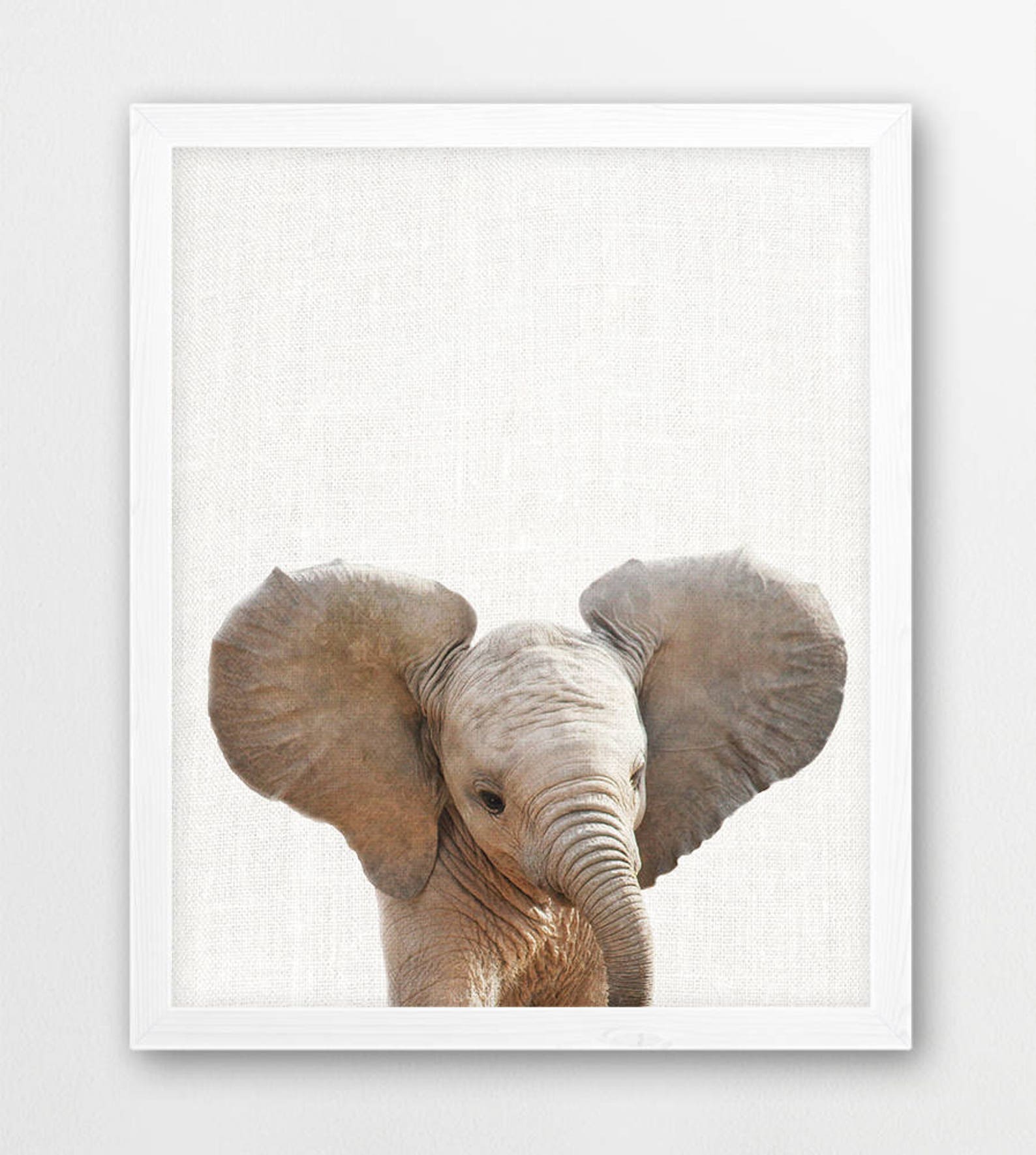 Animals Nursery Print, Cute Animals Photo Mix Print Set of 8, Bunny ...