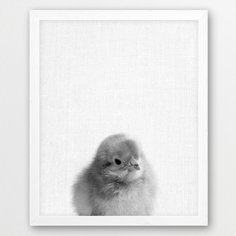 Chick Print - Etsy