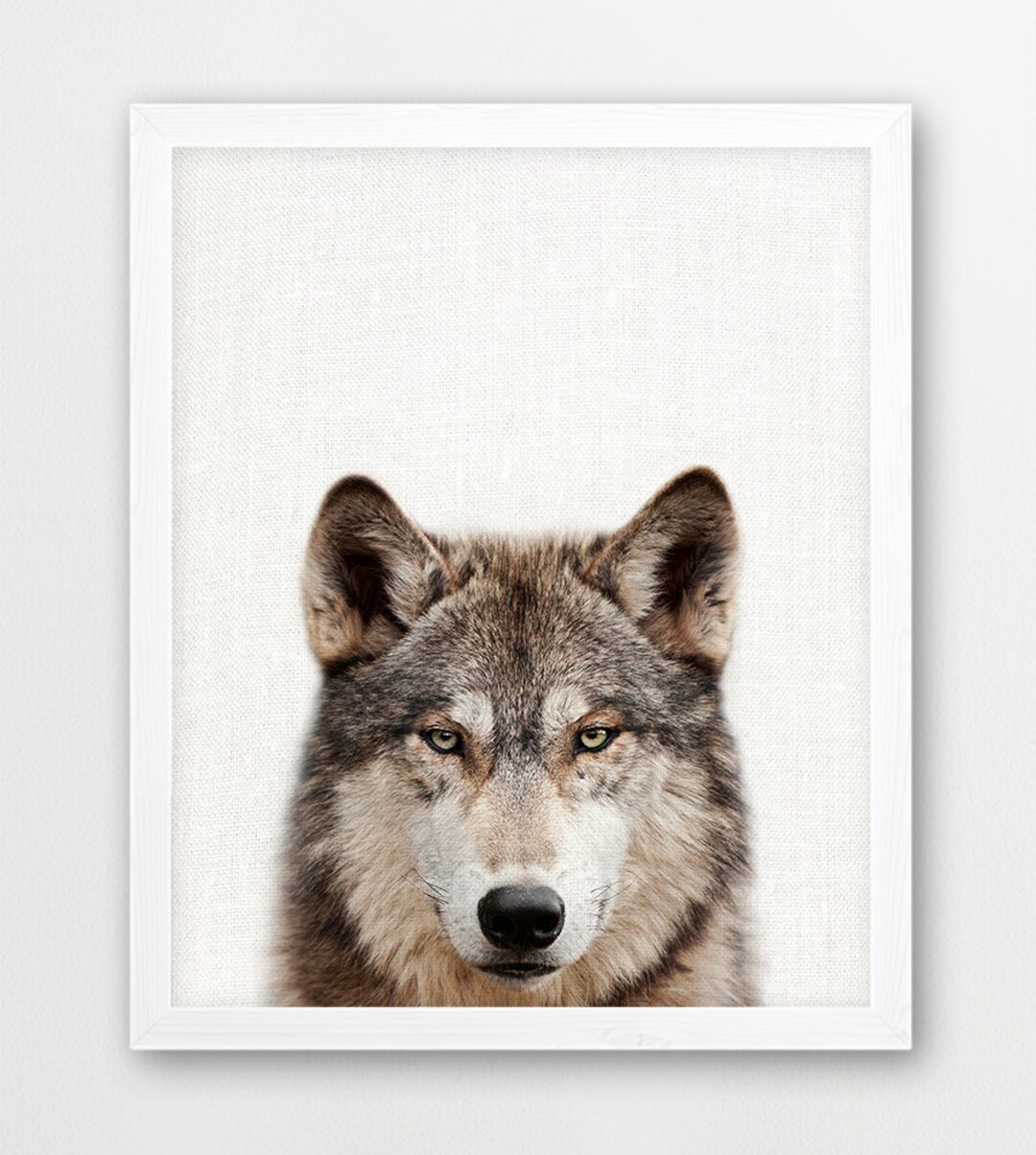 Wolf Print, Woodland Animals Print, Wolf Photo, Home Nursery Wall Art ...