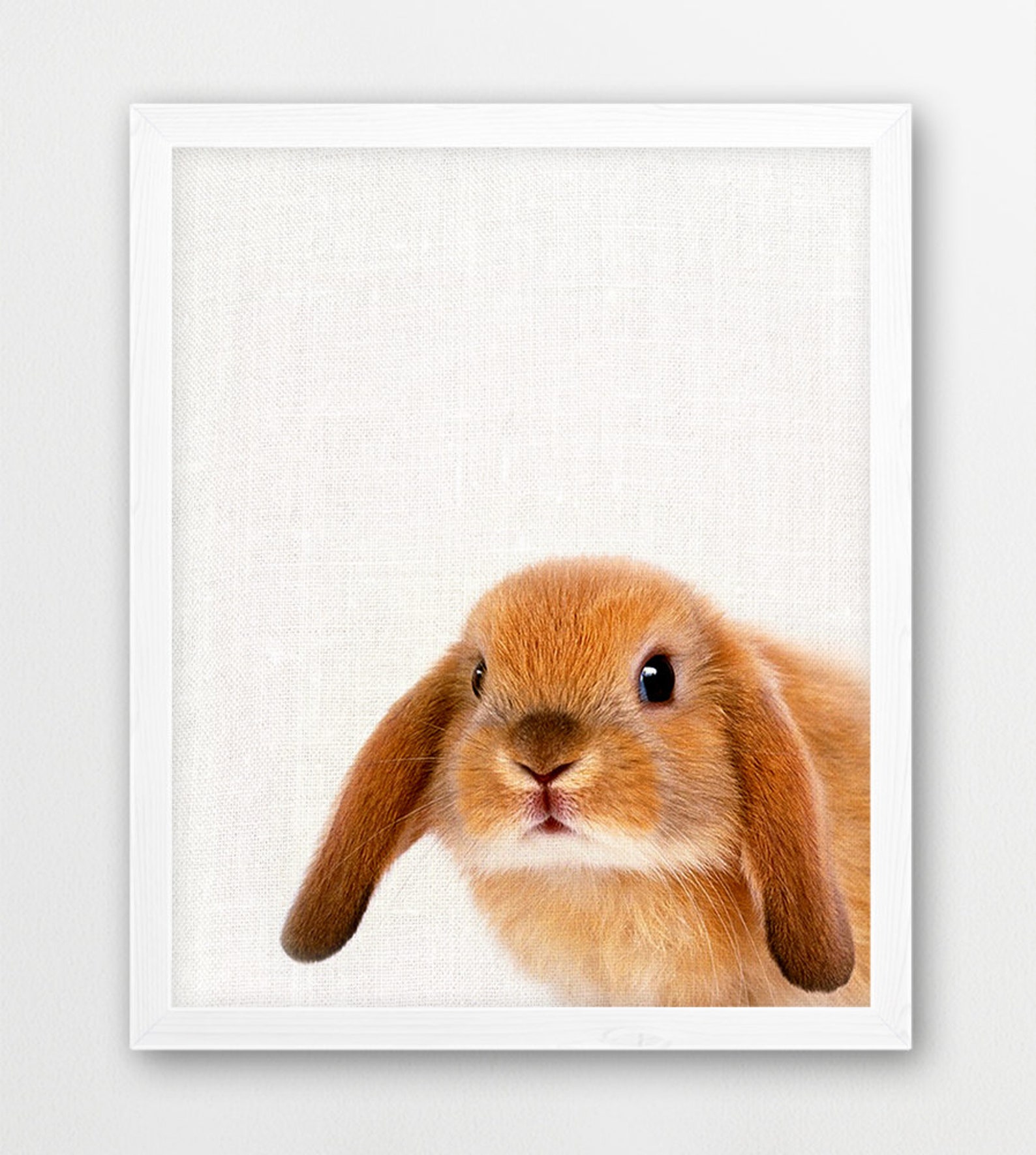 Bunny Print Cute Rabbit Print Woodlands Animals Art Photo - Etsy