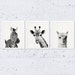 Llama Print, Black and White Alpaca Photography, Nursery Art (digital ...