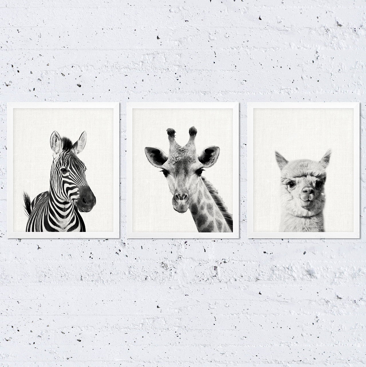 Llama Print Alpaca Lama Photo Cute Animals Black White | Etsy