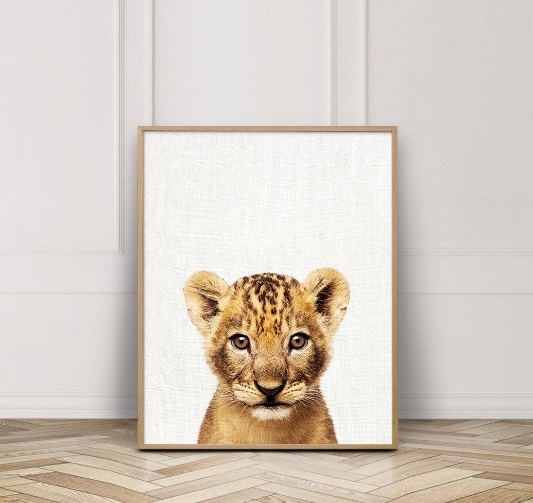 Lion Print Cute Lion Cub Photo Safari African Animals | Etsy