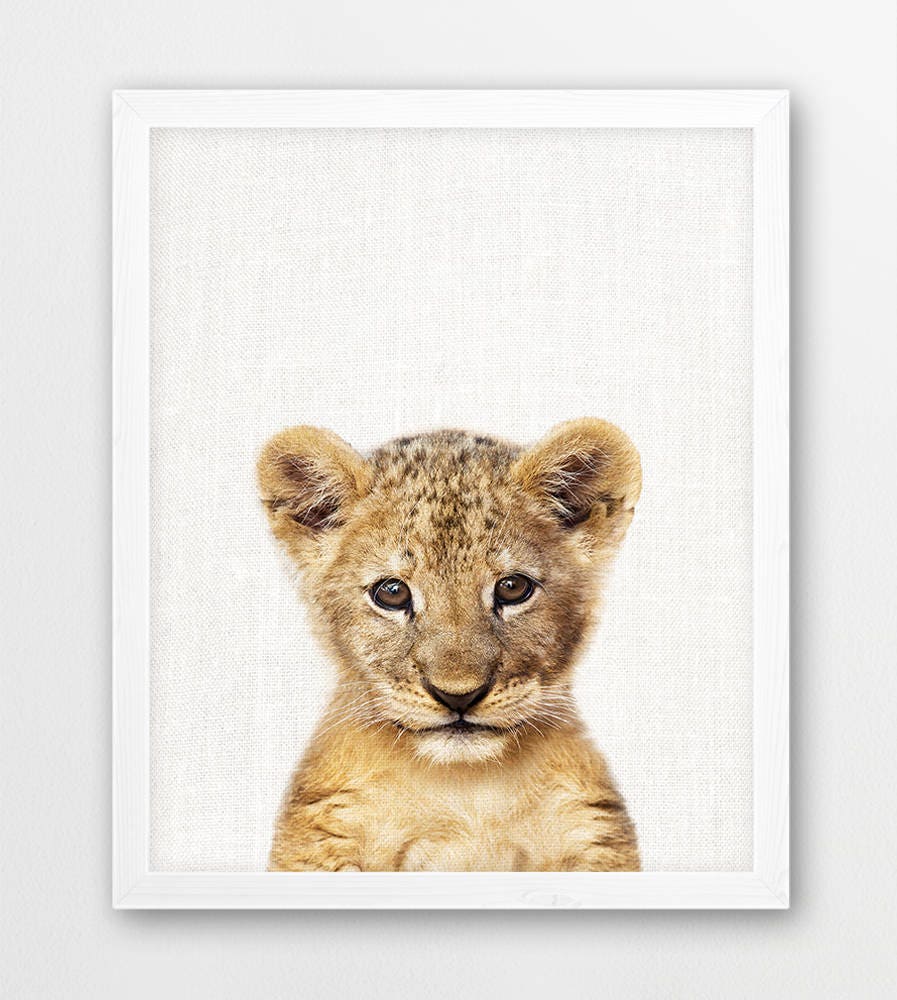 Animals Nursery Print Cute Animals Photo Mix Print Set of 8 | Etsy