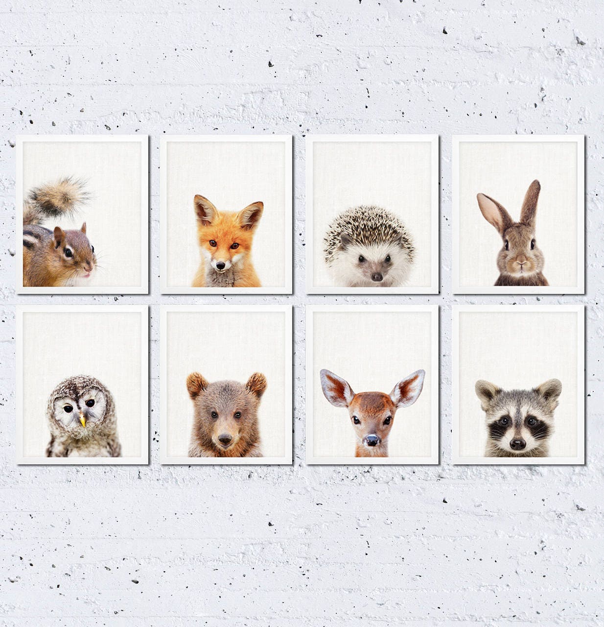 Animals Nursery Print Cute Animals Photo Mix Print Set of 8 | Etsy