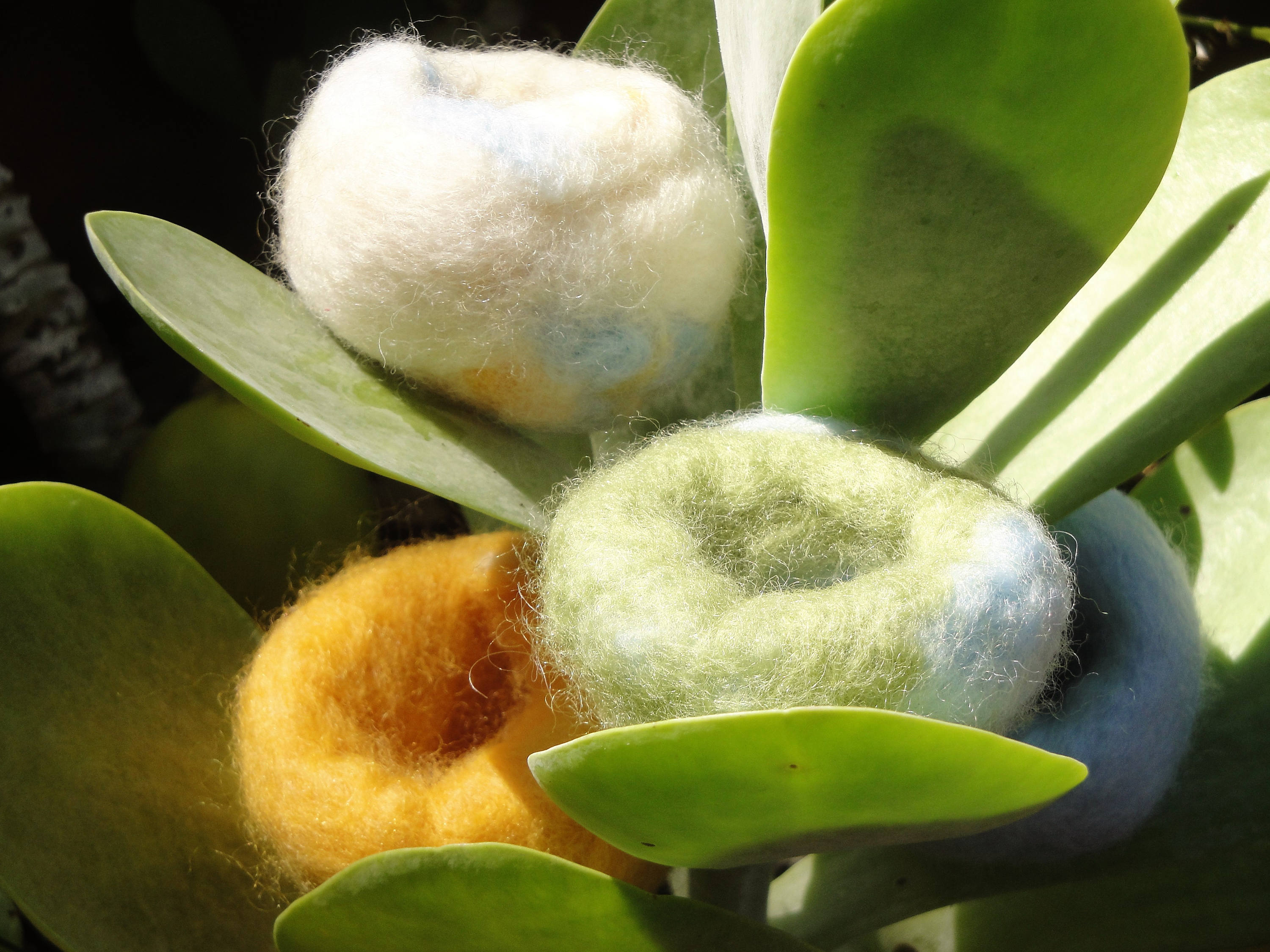Handmade 8 Felted Wool Bird Nests Set of Eight Natural Ornaments