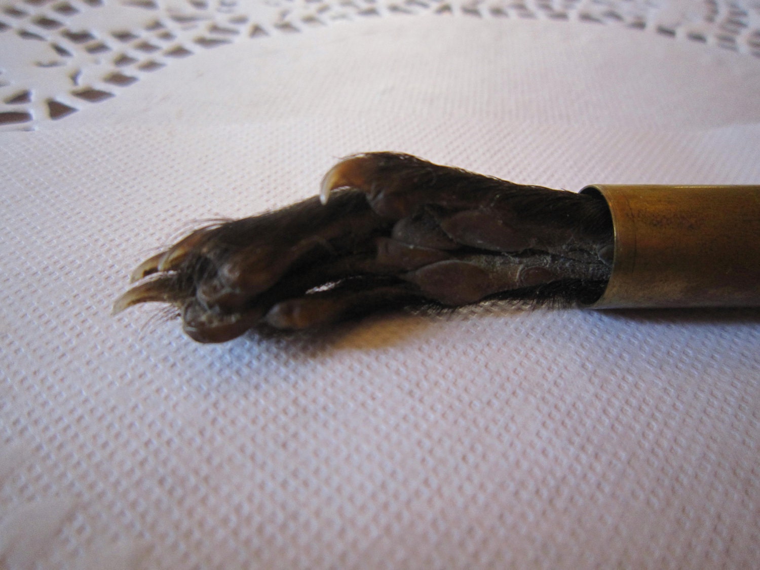 Mink Foot Bullet Pendant Necklace - Etsy