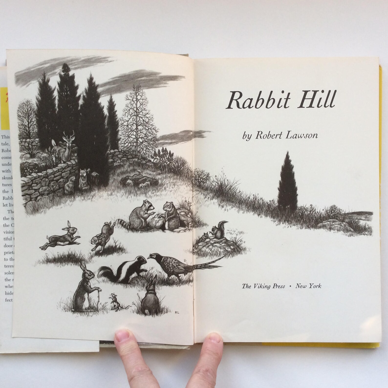 Newbery Award Winning Rabbit Hill by Robert Lawson 1960 | Etsy
