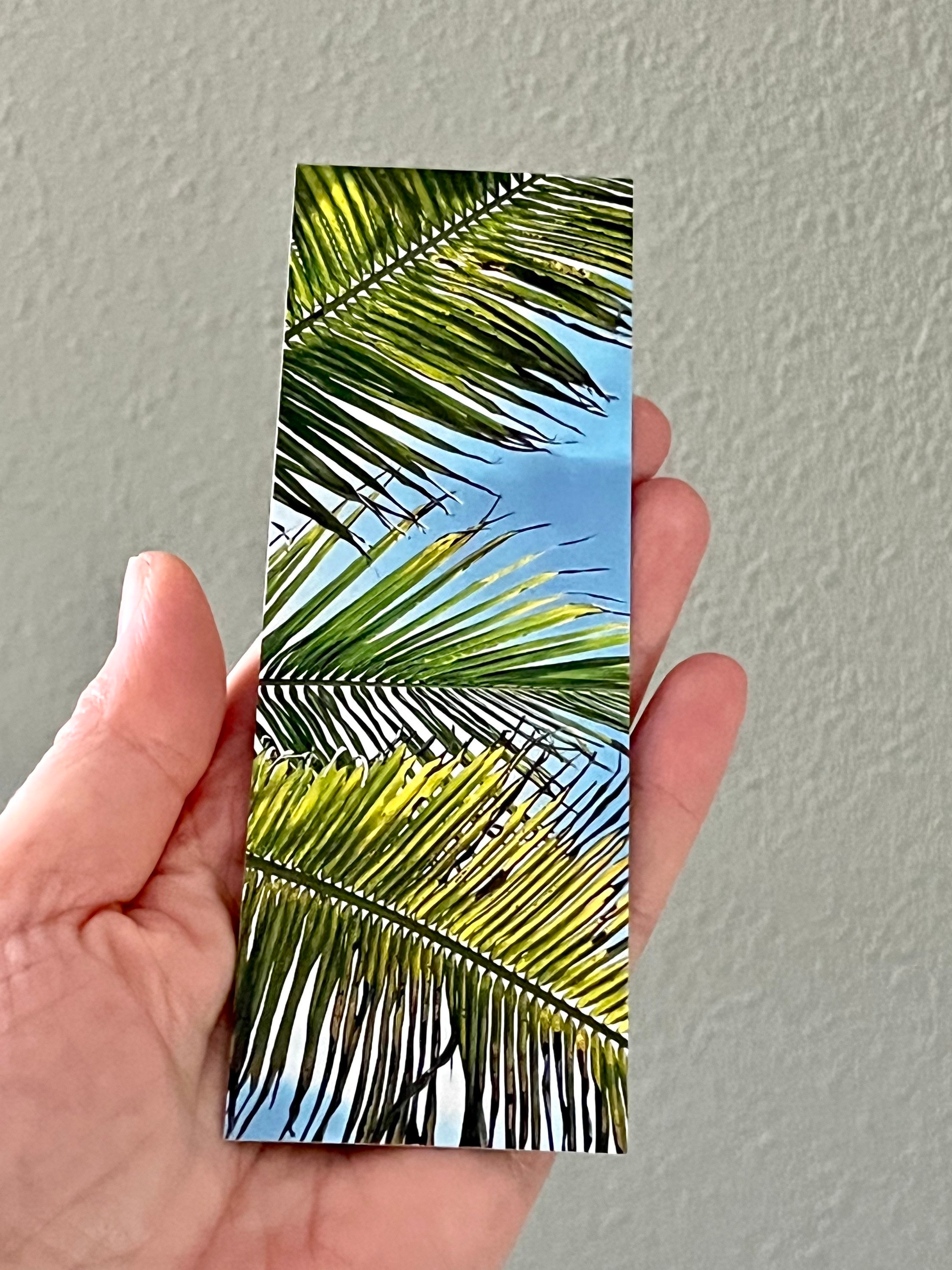Beach Bookmark, Ocean Palms Photo Bookmark, Palm Tree Bookmark, Book ...