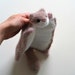 Flynn the Flying Squirrel Snuggler Crochet Pattern · Low-sew Amigurumi ...