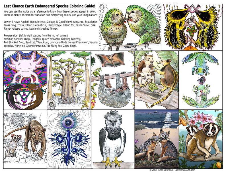 Exotic & Endangered Species Coloring Book All Ages - Etsy