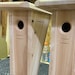 Petterson Style Blue Bird Boxes (2 Boxes), White Cedar - Etsy
