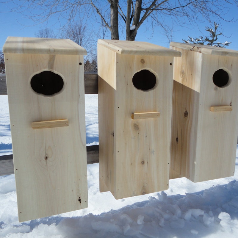 Door Design With Bird - Etsy