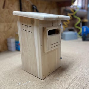 Tree Swallow Nesting Box, White Cedar - Etsy