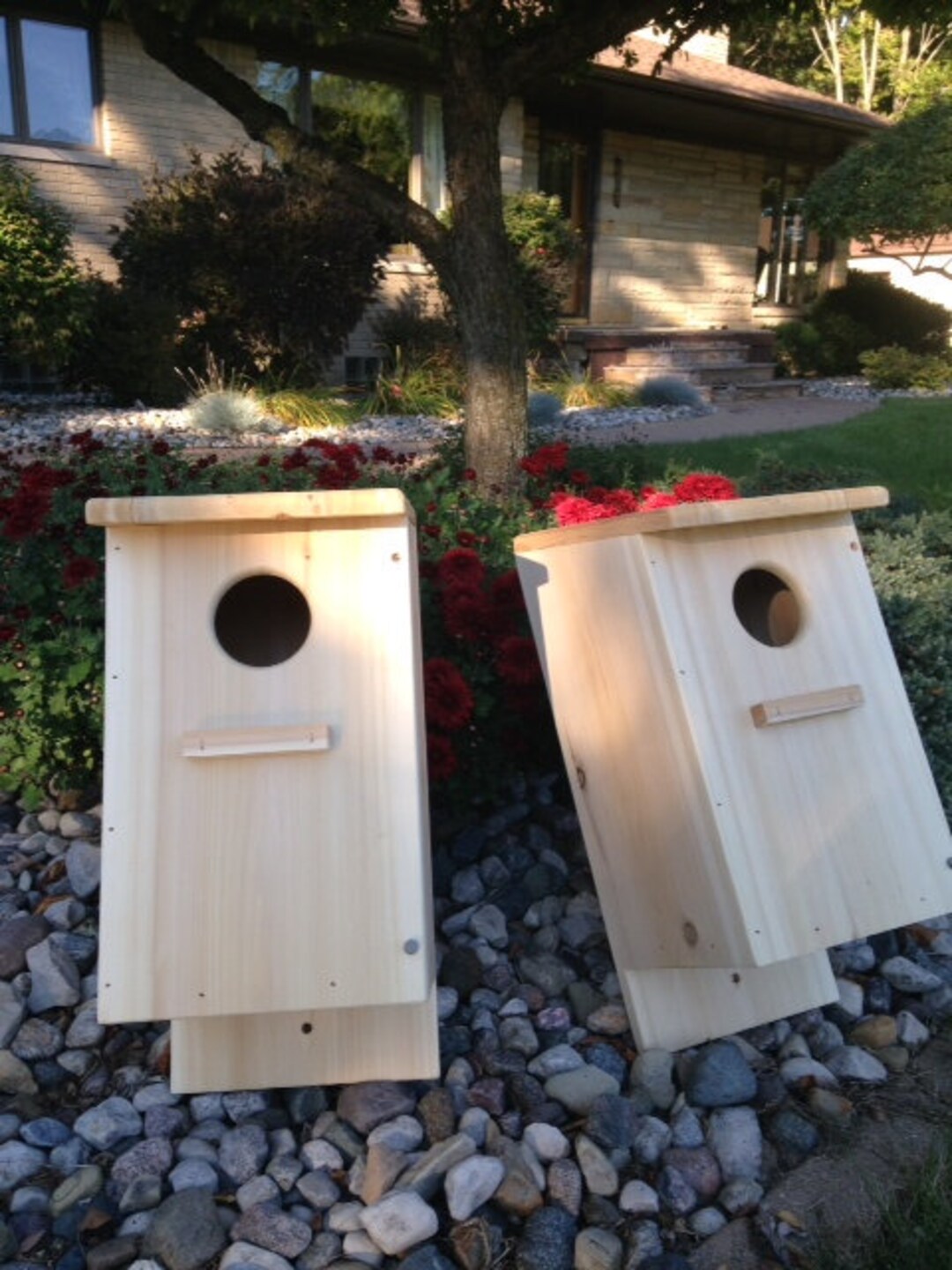 4 Pack Screech Owl/kestrel Nesting Boxes - Etsy