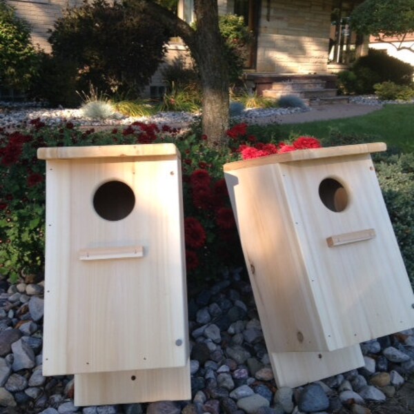 Screech Owl Nesting Box - Etsy