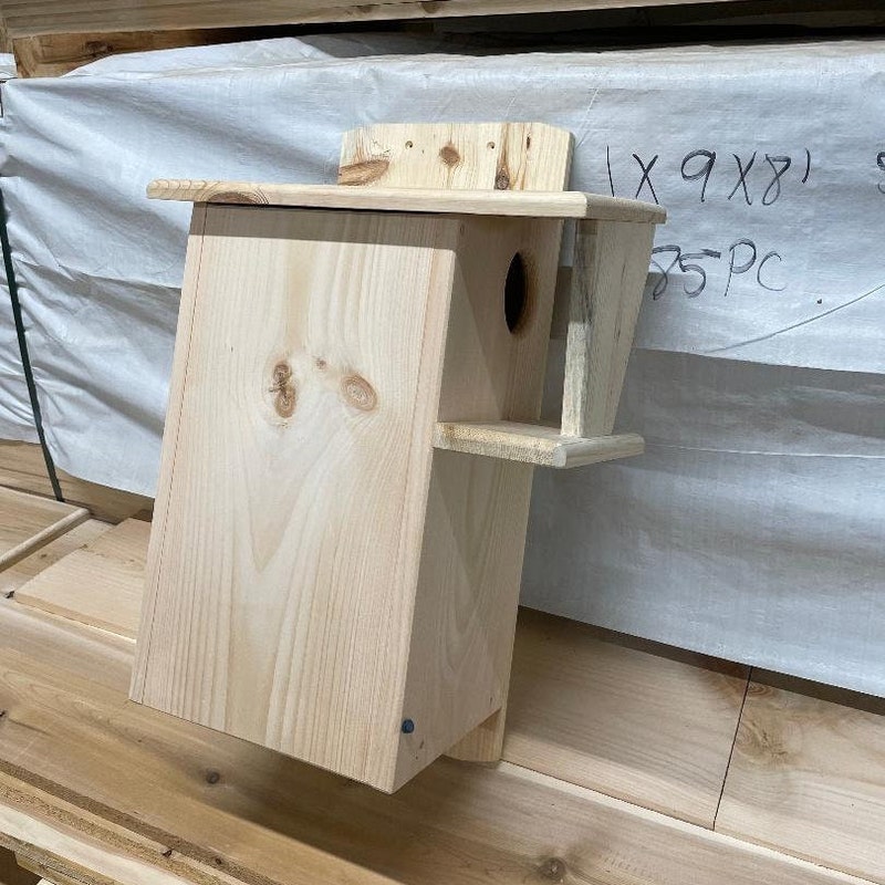 Squirrel House With Camera - Etsy