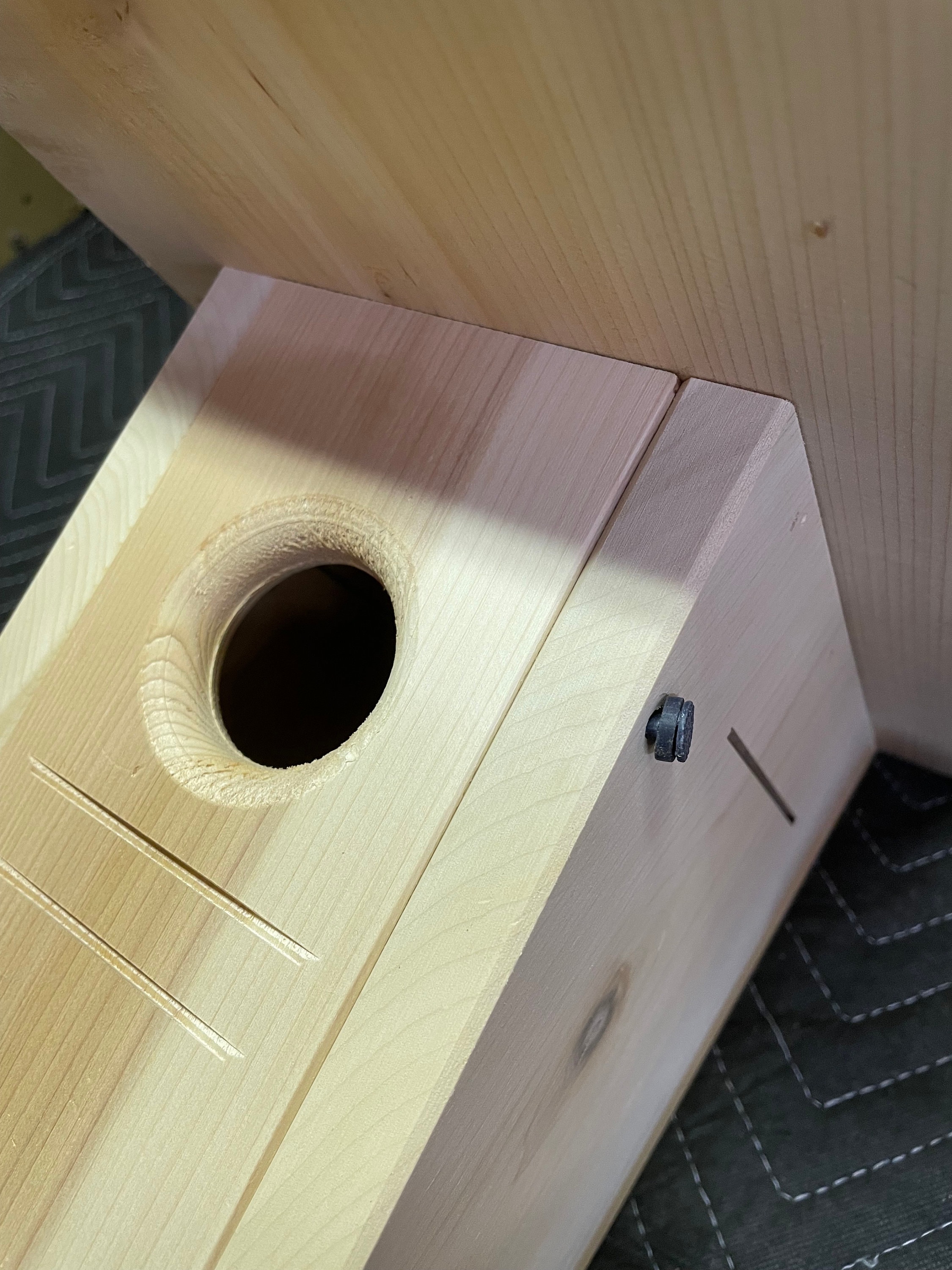 Petterson Style Blue Bird Boxes (4 Boxes), White Cedar - Etsy