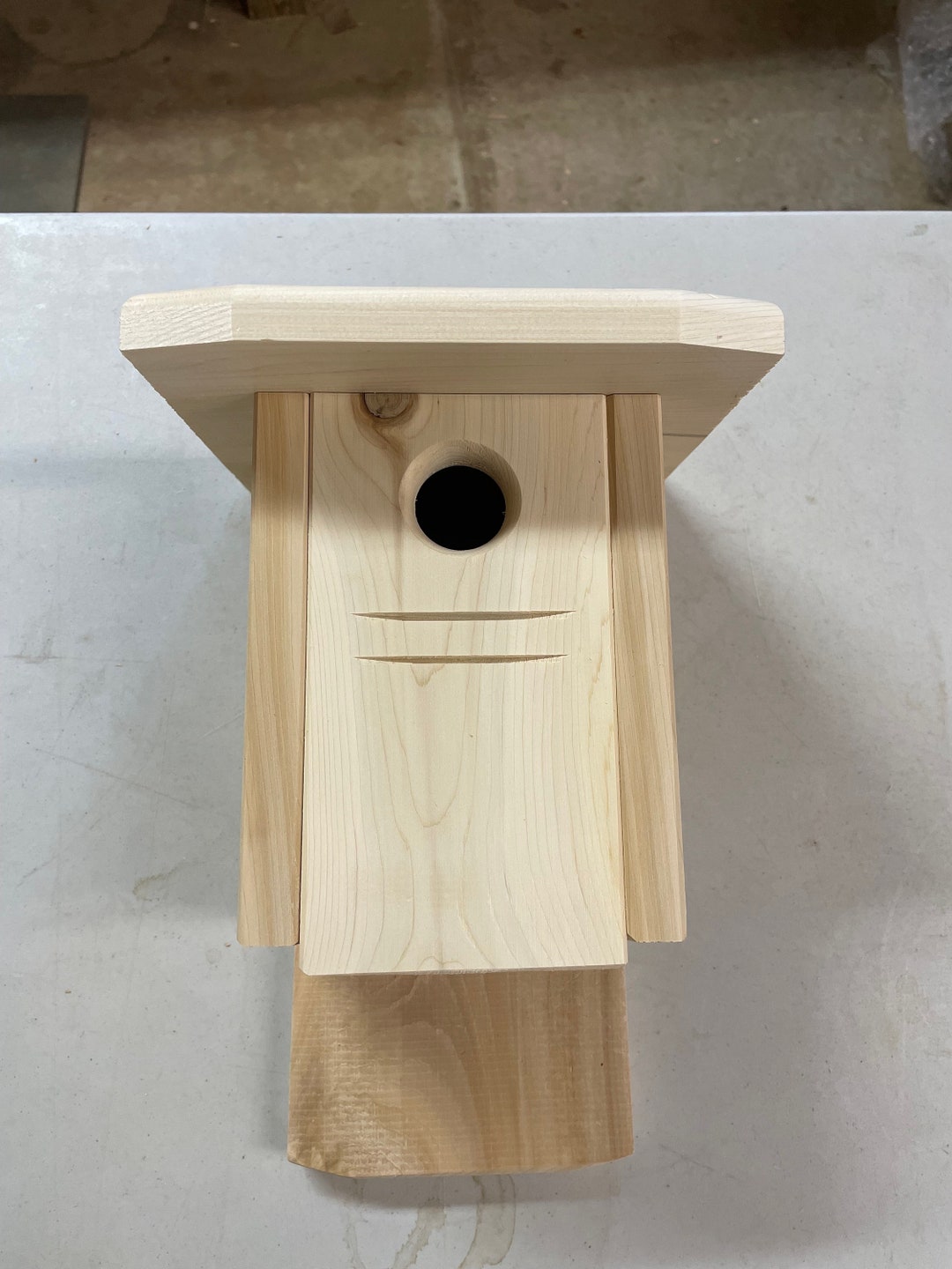 House Wren Nest Box - Etsy