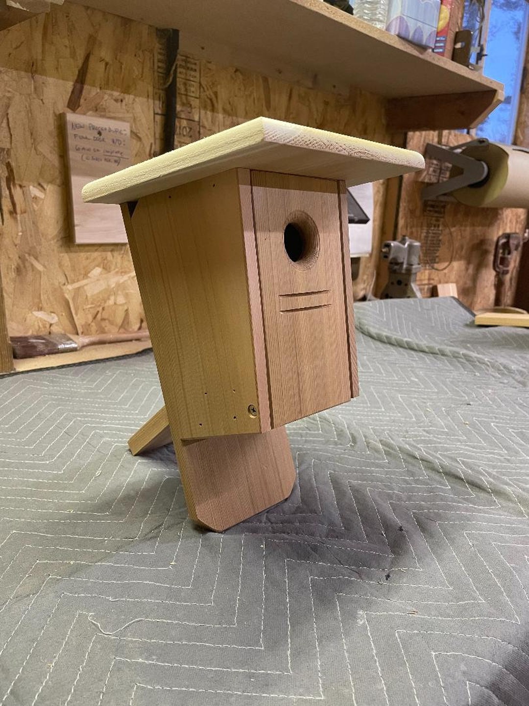 House Wren Nest Box - Etsy