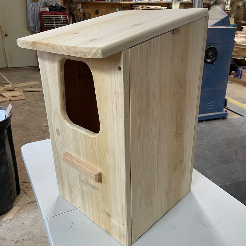 Owl Box - Etsy