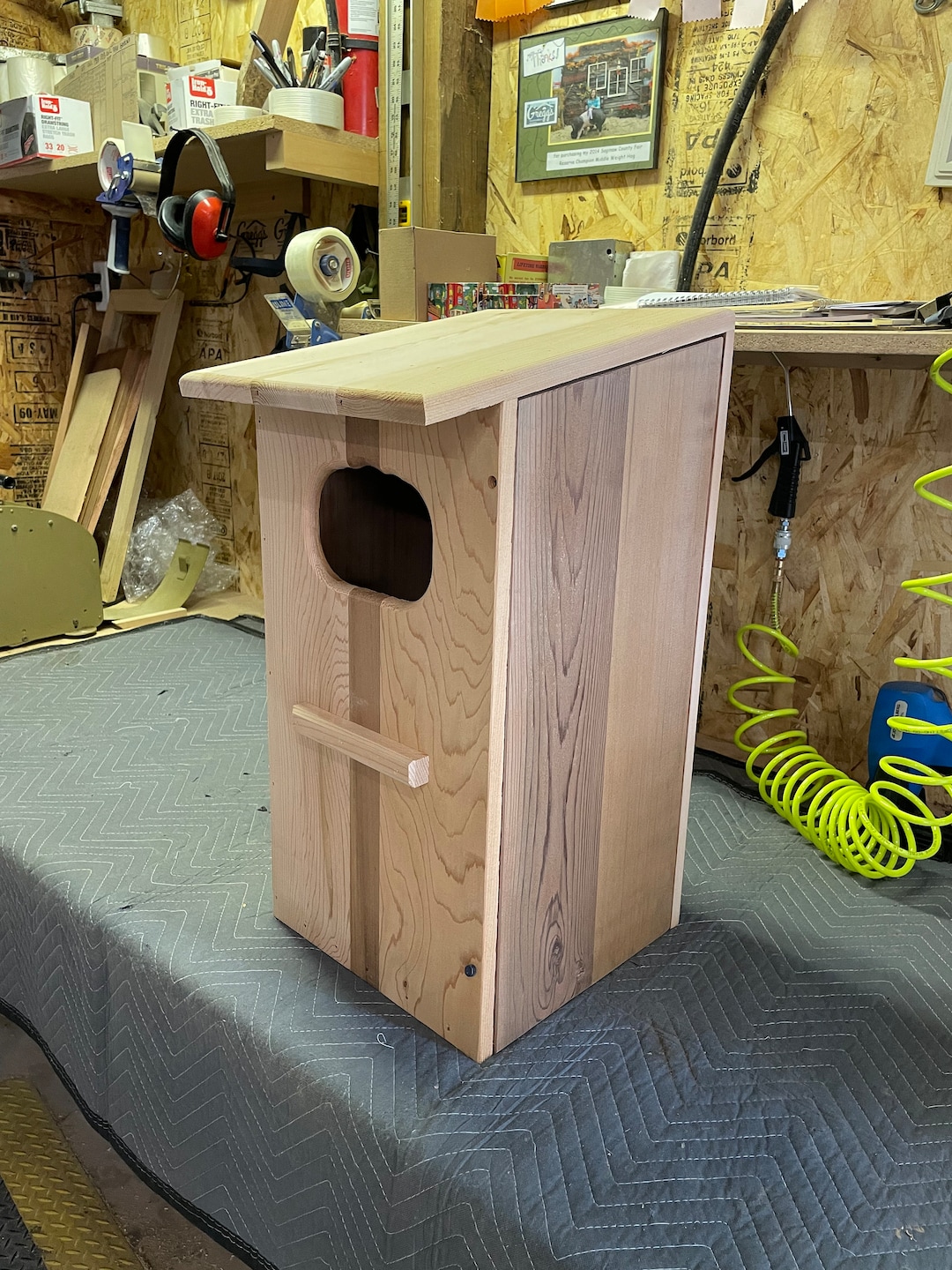 Black-belied Whistling Duck Nest Box - Etsy