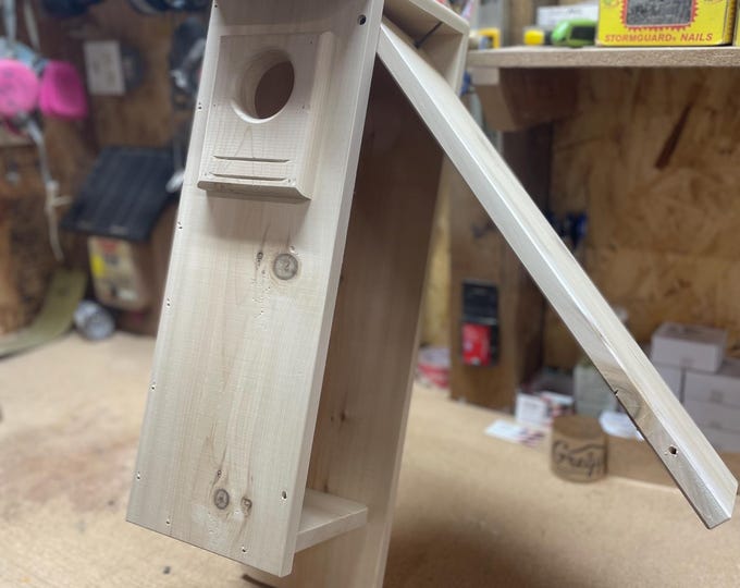 Northern Flicker Nest Box - Etsy