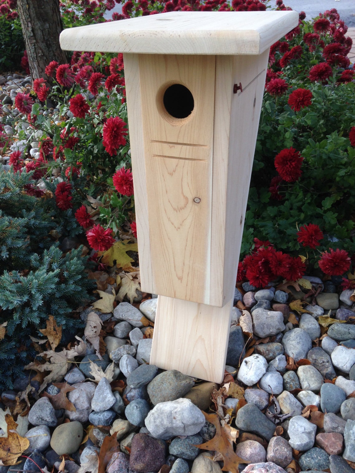 Peterson Style Bluebird Nest Box, White Cedar - Etsy