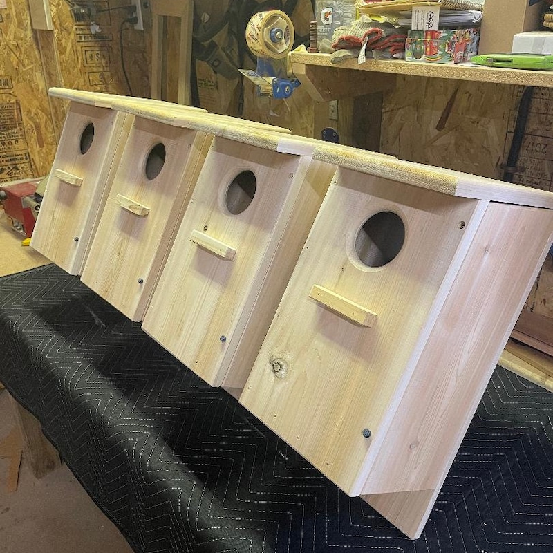 Barred Owl Nesting Box - Etsy