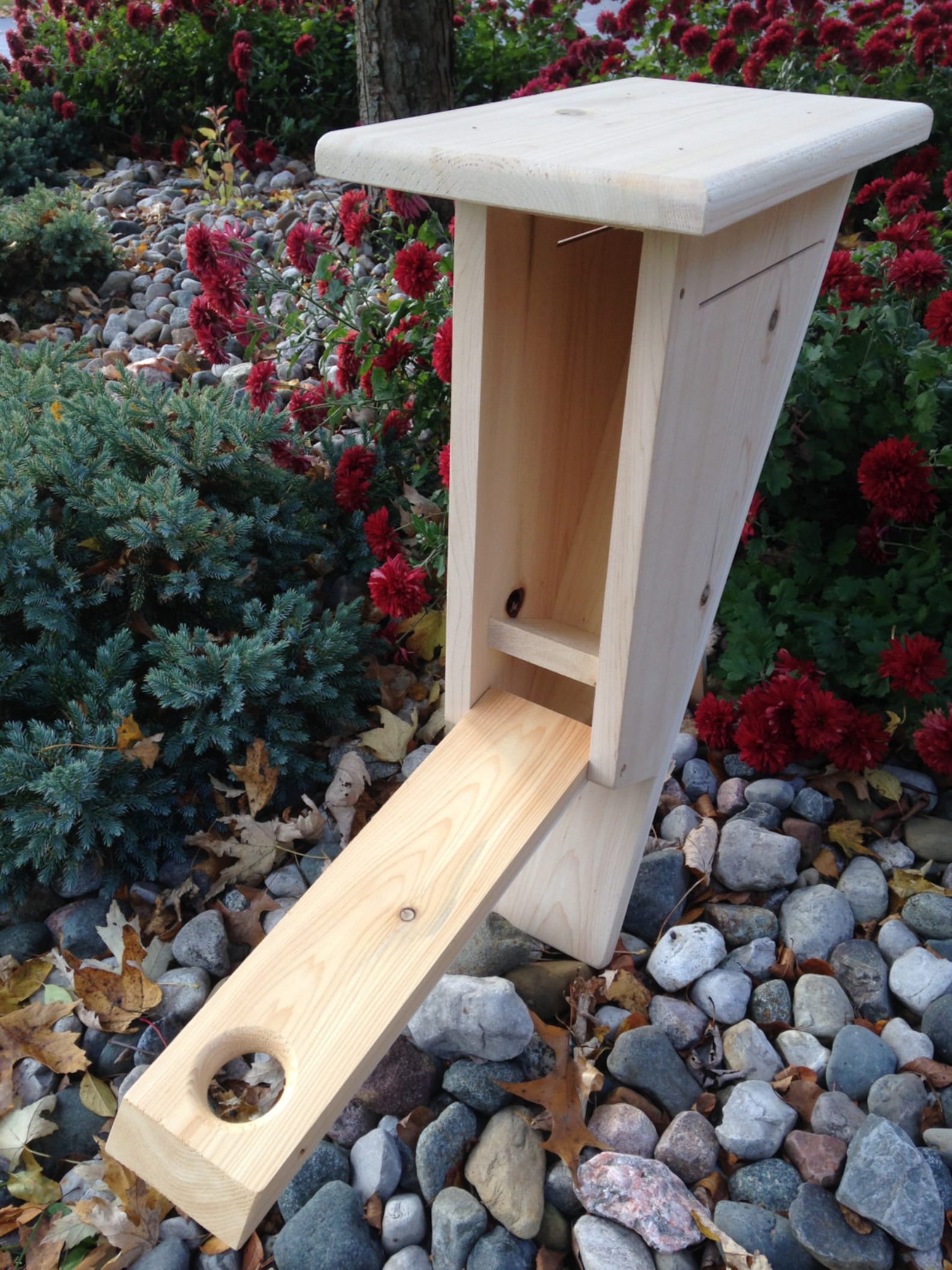 Peterson Style Bluebird Nest Box, White Cedar - Etsy